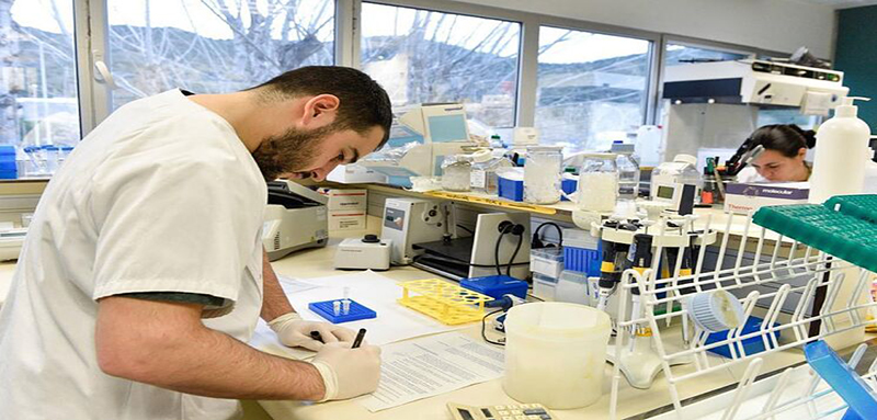 ‘Time machine’ offers new pancreatic cancer drug testing approach