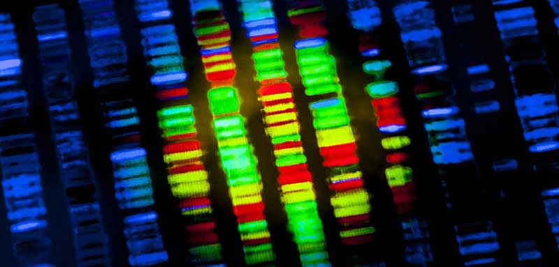 Cancer cells hijack the 3D structure of DNA