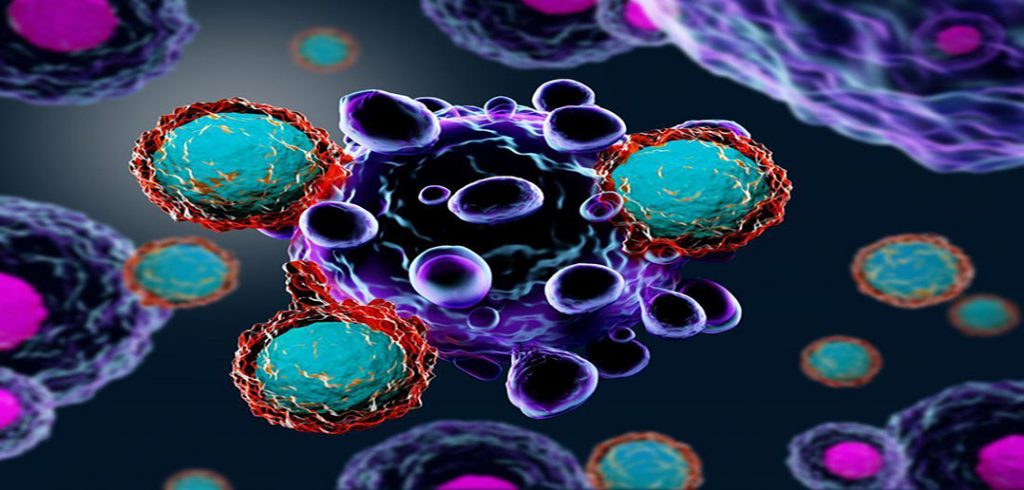 Researchers reveal key LAG3 mechanisms that could transform cancer ...