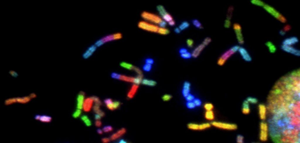 Shining a light on the role of the genome’s ‘dark matter’ in cancer ...