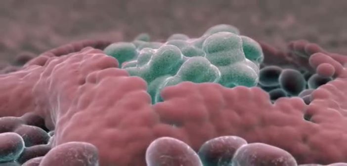 Researchers find tissue environment plays important role in tumour ...