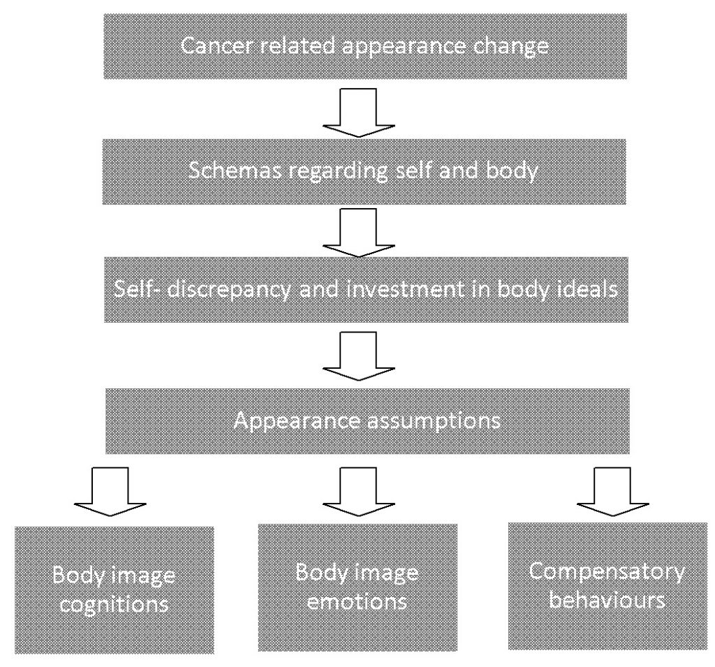 The psychology of body image – understanding the impact of cancer upon ...