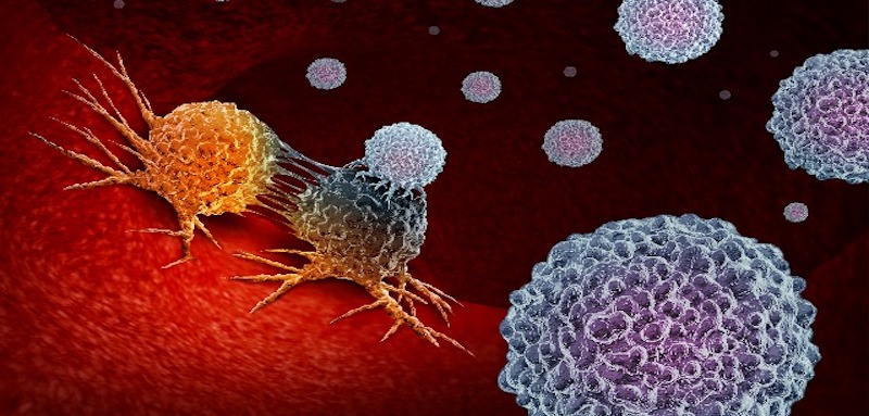 New findings about cancer cell growth may hold promise for future ...