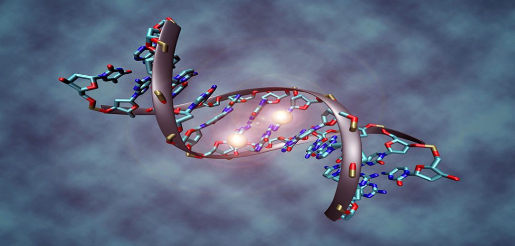 Impact of cancer on forensic DNA methylation age estimation