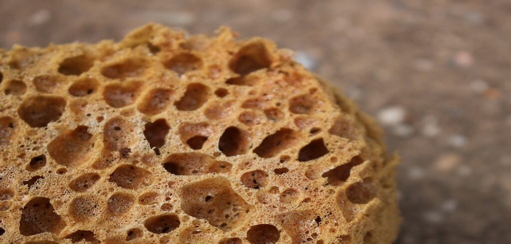 Mauritius sea sponge produces chemicals that can kill liver cancer ...