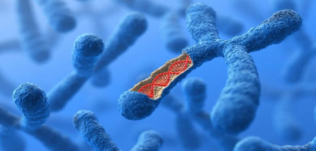 Optimal genome mapping offers high-resolution method to better see ...